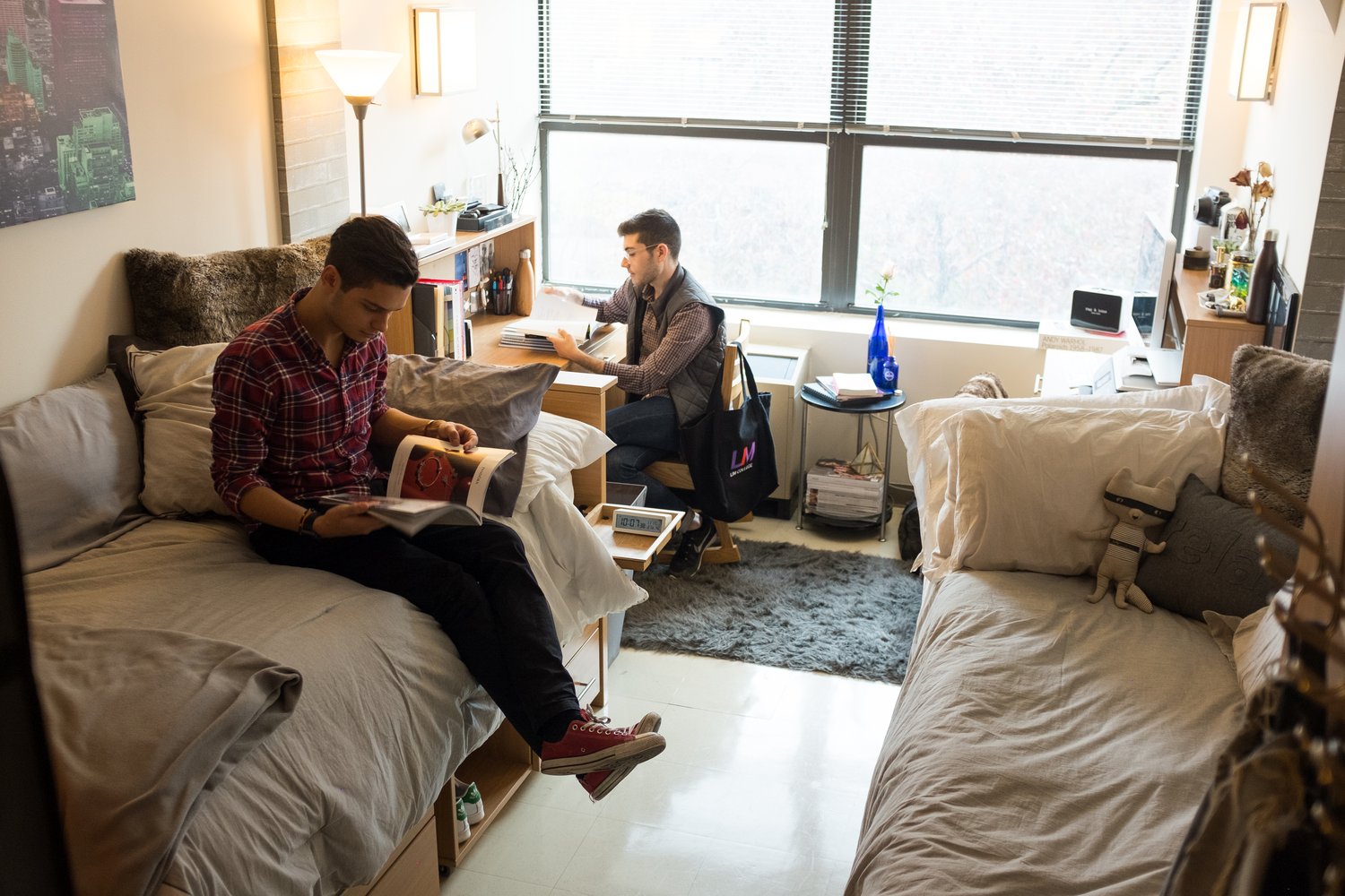 Tips For Living With A New Roomate | LIM College